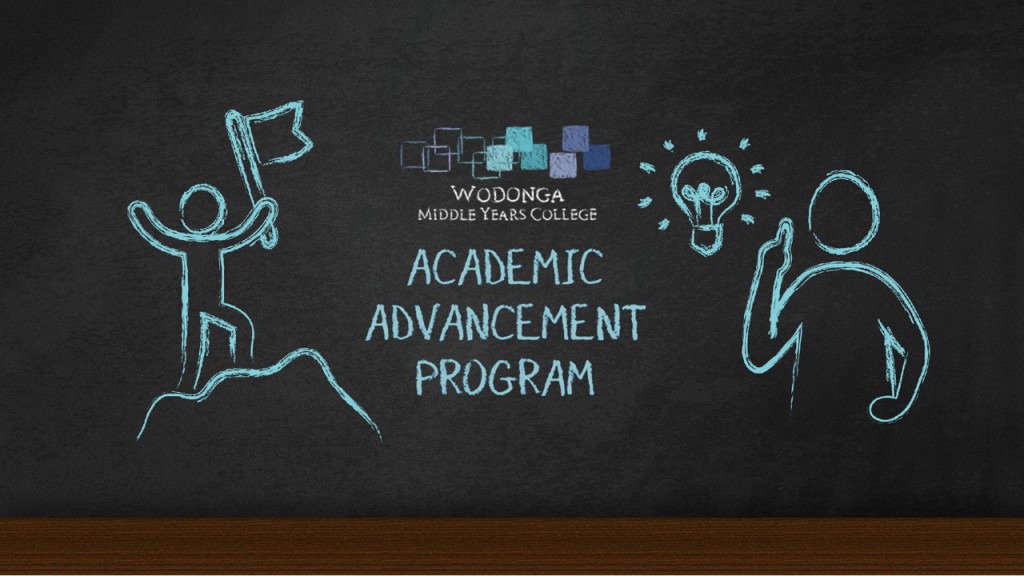 Academic Advancement Program (AAP) | WMYC