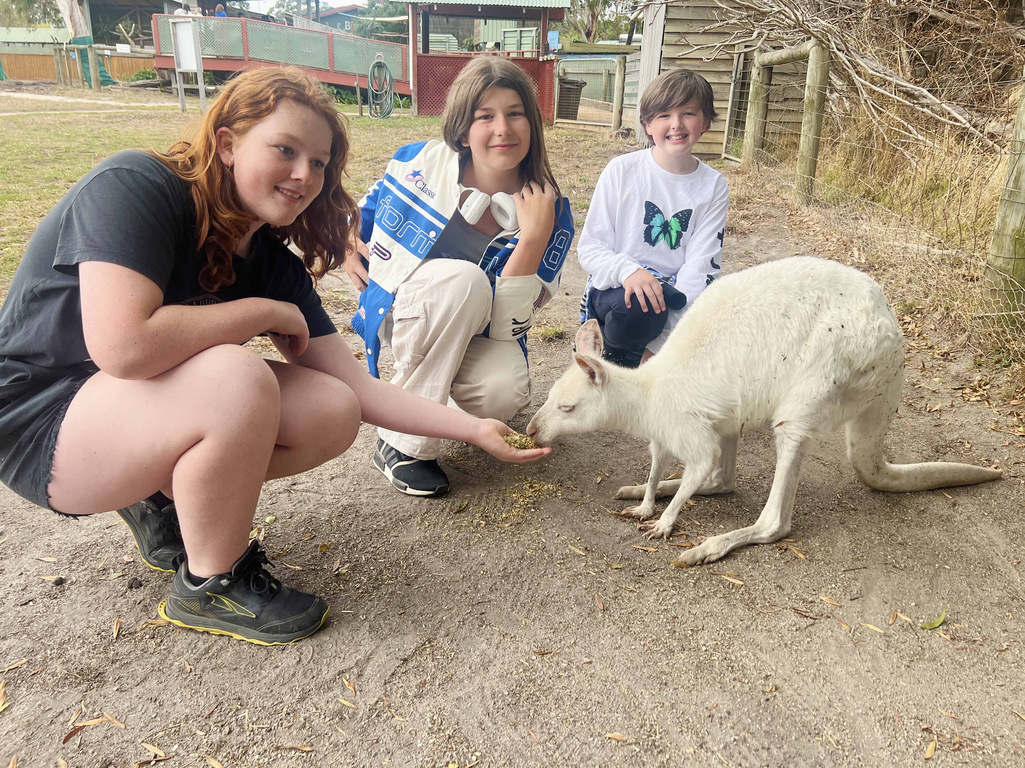 Camps Week 2023 – Phillip Island | WMYC