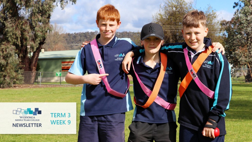 College Newsletter – Term 3 Week 9 | WMYC