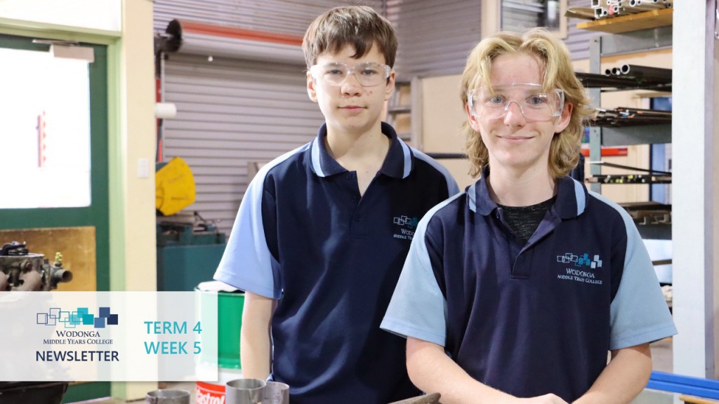 College Newsletter – Term 4 Week 5 | WMYC