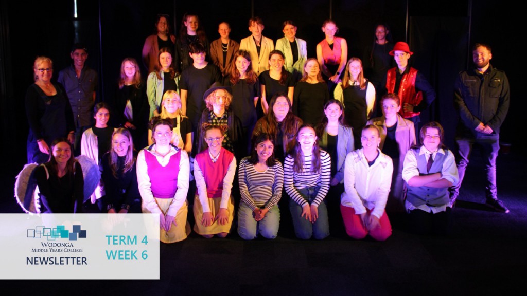 College Newsletter – Term 4 Week 6 | WMYC