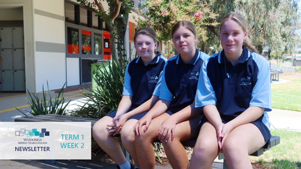 College Newsletter – Term 1 Week 2 | WMYC