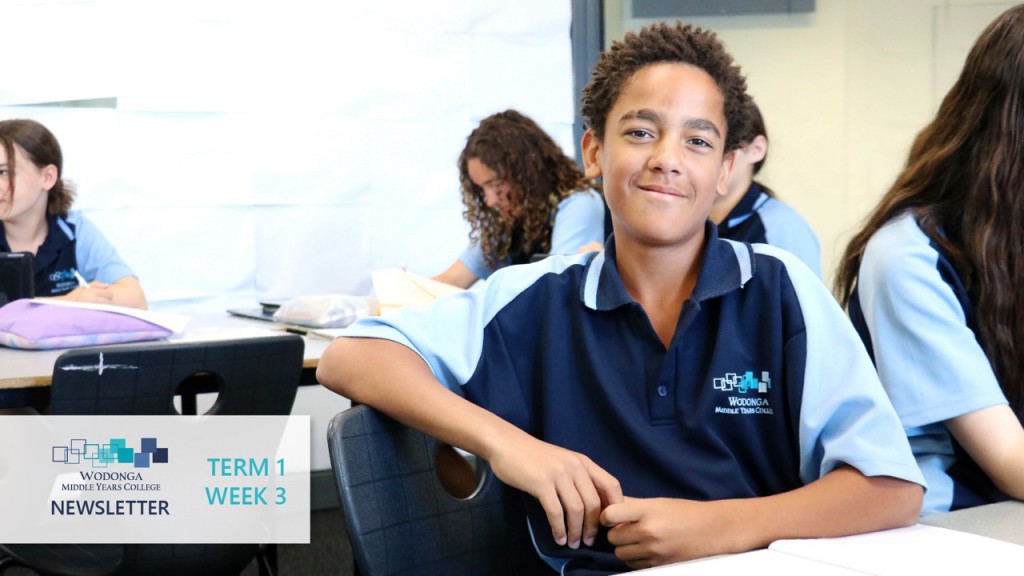 College Newsletter – Term 1 Week 3 | WMYC