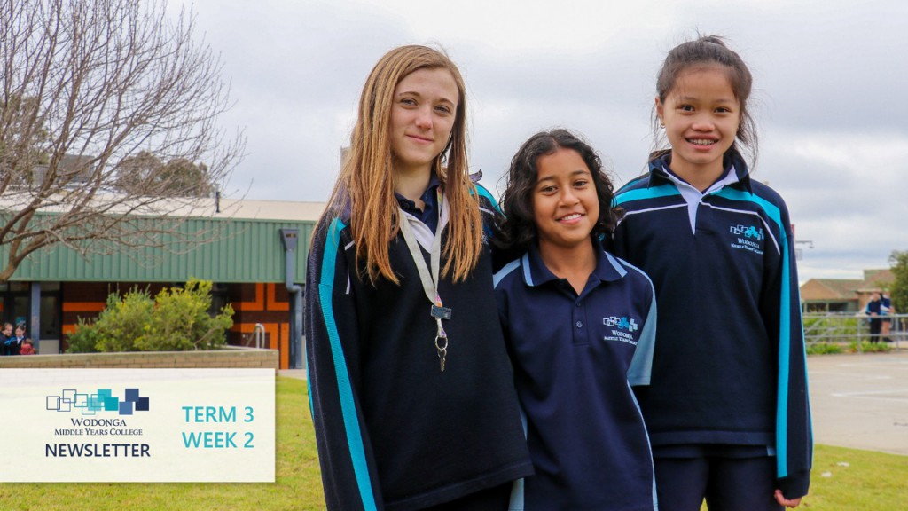 College Newsletter – Term 3 Week 2 | WMYC