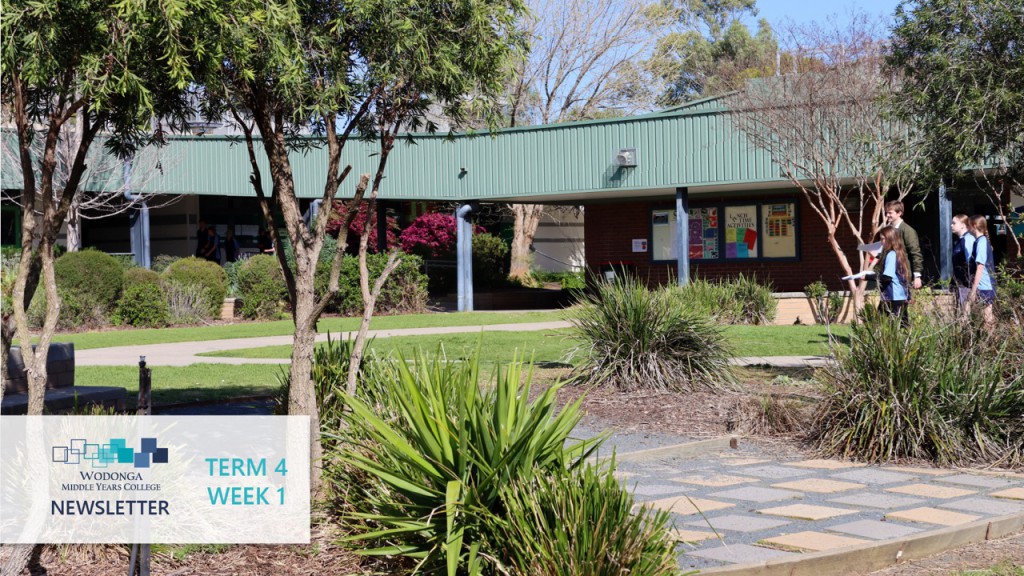 College Newsletter – Term 4 Week 1 | WMYC