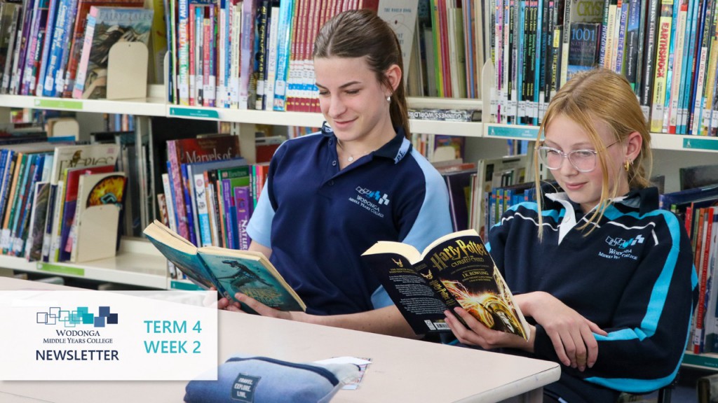 College Newsletter – Term 4 Week 2 | WMYC