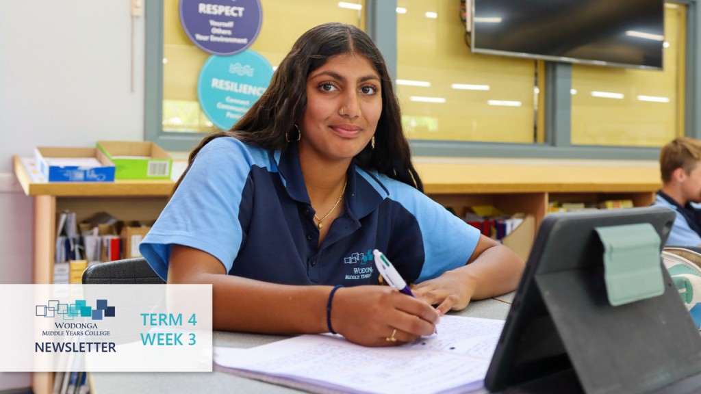 College Newsletter – Term 4 Week 3 | WMYC